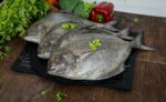 Chanduva Fish 10 Benefits